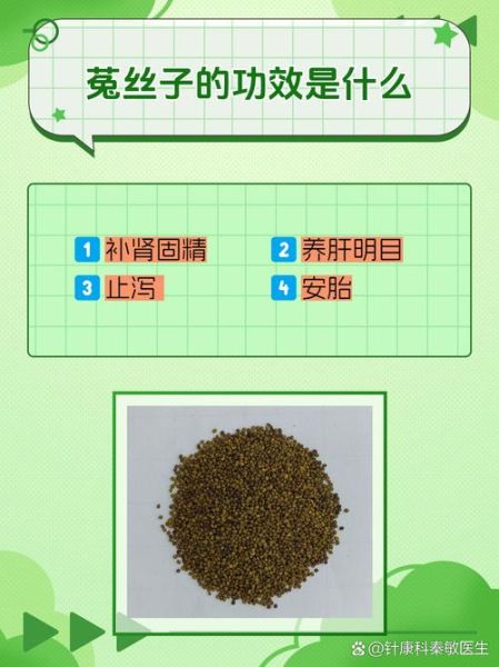 菟丝子怎么吃_菟丝子的功效与作用-第1张图片-山城妙识