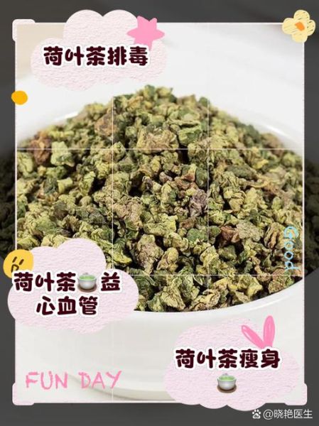 荷叶茶的功效与作用_荷叶茶的禁忌症-第2张图片-山城妙识