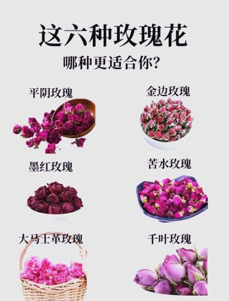 玫瑰花茶的功效与作用_玫瑰花茶怎么喝才养生-第1张图片-山城妙识