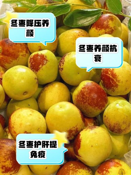 冬枣的营养价值有哪些_冬枣适合什么人吃-第3张图片-山城妙识