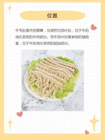 白毛肚是什么动物身上的_白毛肚和牛肚区别-第3张图片-山城妙识