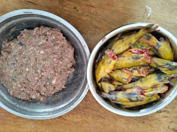 野生嘎鱼多少钱一斤_哪里能买到正宗野生嘎鱼-第3张图片-山城妙识