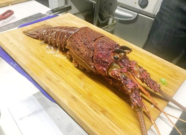 澳洲大龙虾怎么吃_澳洲龙虾做法大全-第3张图片-山城妙识