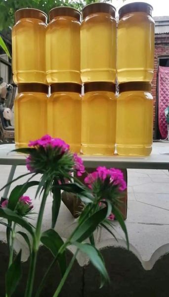 什么花蜂蜜最好_槐花蜜和椴树蜜哪个更优-第3张图片-山城妙识