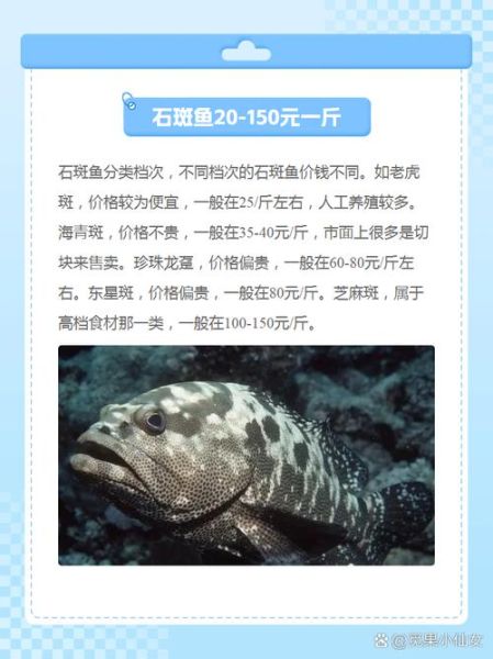 最便宜的石斑鱼多少钱一斤_石斑鱼为什么这么便宜-第1张图片-山城妙识