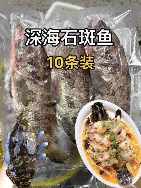 最便宜的石斑鱼多少钱一斤_石斑鱼为什么这么便宜-第2张图片-山城妙识