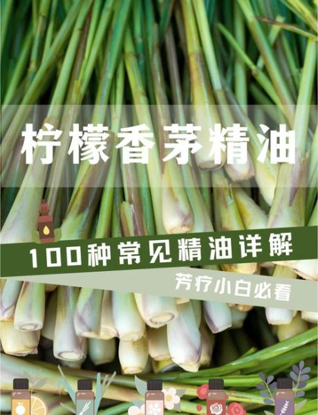 香茅精油的功效与作用_香茅精油怎么用-第1张图片-山城妙识