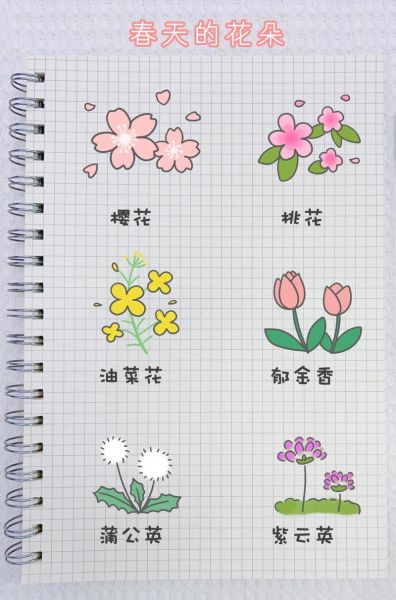 花图片大全简笔画_如何快速画-第1张图片-山城妙识 花图片大全简笔画_如何快速画-第1张图片-山城妙识
