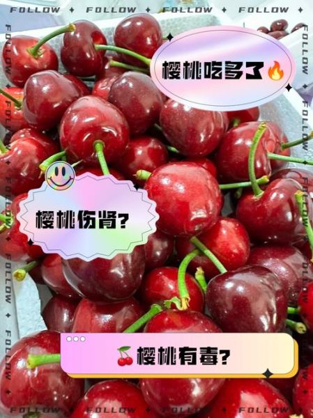 樱桃一天吃了40个会怎么样_一天吃40个樱桃会中毒吗-第1张图片-山城妙识