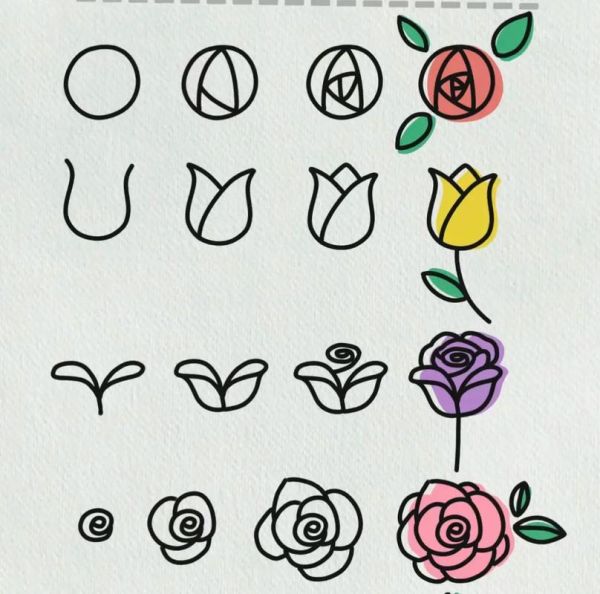 花图片大全简笔画_如何快速画-第3张图片-山城妙识 花图片大全简笔画_如何快速画-第3张图片-山城妙识