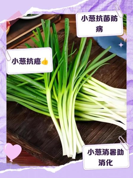 小葱的功效与作用_吃小葱有什么好处-第2张图片-山城妙识