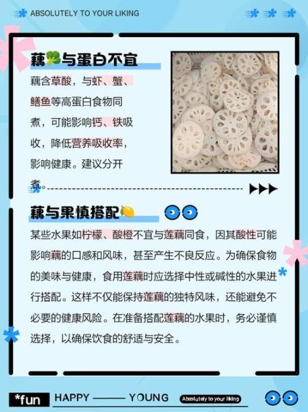 藕不能和什么一起吃_吃藕的禁忌有哪些-第1张图片-山城妙识