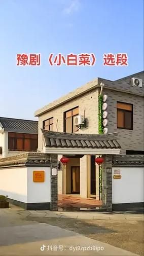 小白菜泪汪汪全集12哪里看_小白菜泪汪汪全集12剧情解析-第3张图片-山城妙识