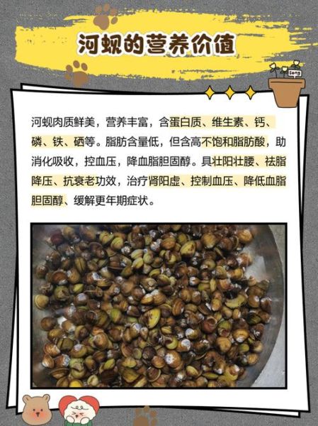 河蚬怎么养_河蚬养殖技巧-第3张图片-山城妙识