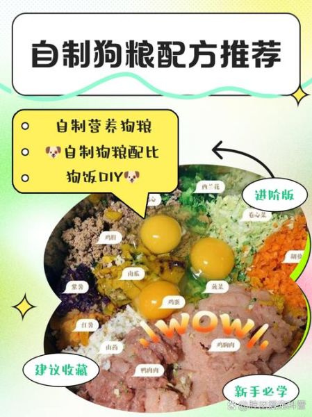 狗粮怎么做_自制狗粮配方大全-第2张图片-山城妙识