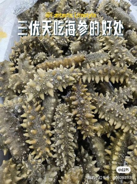 夏天吃海参上火吗_海参夏天怎么吃不上火-第2张图片-山城妙识