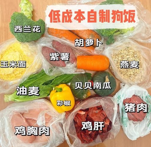狗粮怎么做_自制狗粮配方大全-第1张图片-山城妙识