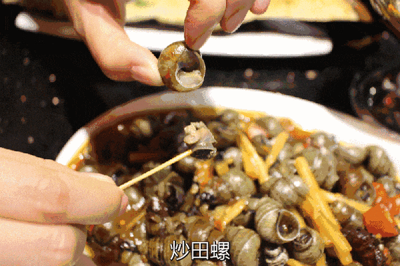 炒田螺有寄生虫吗_怎么去除最安全-第1张图片-山城妙识