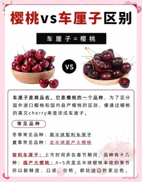樱桃和车厘子有什么区别_哪个营养价值更高-第3张图片-山城妙识
