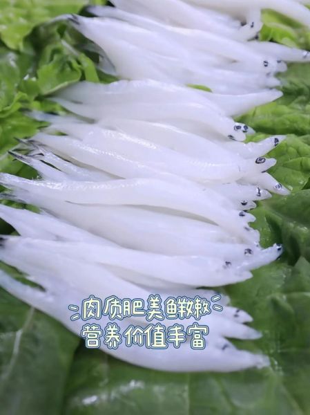 银鱼图片多少钱一斤_银鱼价格最新行情-第3张图片-山城妙识