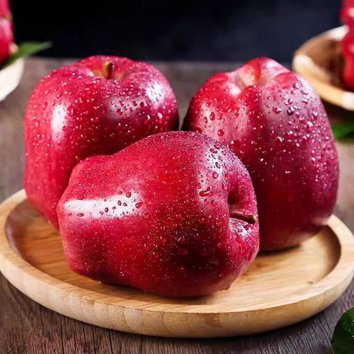 蛇果和苹果有什么区别_蛇果为什么那么贵-第3张图片-山城妙识