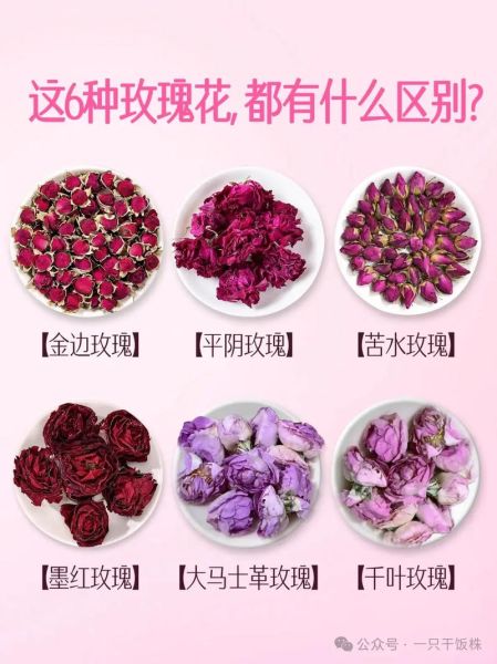 玫瑰花图片大全_如何辨别真假玫瑰-第2张图片-山城妙识