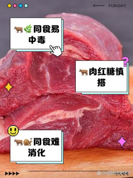 牛肉不能和什么一起吃相克_牛肉与哪些食物同食会中毒-第3张图片-山城妙识