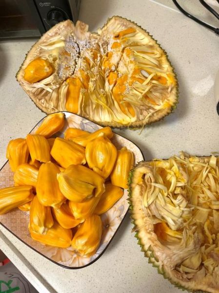 菠萝蜜怎么切_菠萝蜜切开法-第3张图片-山城妙识