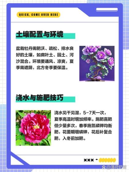 牡丹花怎么养_牡丹花什么时候开花-第2张图片-山城妙识