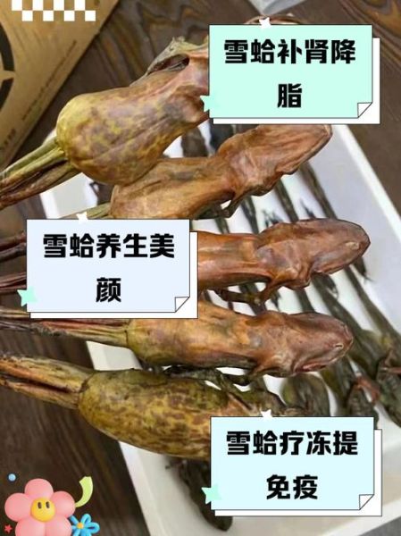 雪蛤是什么做成的_雪蛤原料有哪些-第3张图片-山城妙识 雪蛤是什么做成的_雪蛤原料有哪些-第3张图片-山城妙识