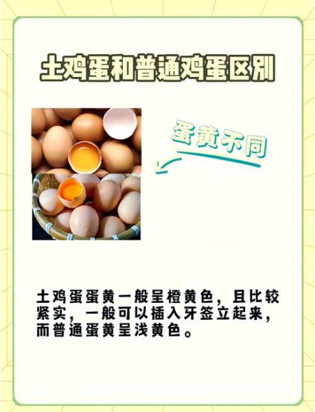 假鸡蛋和真鸡蛋的区别_如何辨别假鸡蛋-第3张图片-山城妙识 假鸡蛋和真鸡蛋的区别_如何辨别假鸡蛋-第3张图片-山城妙识