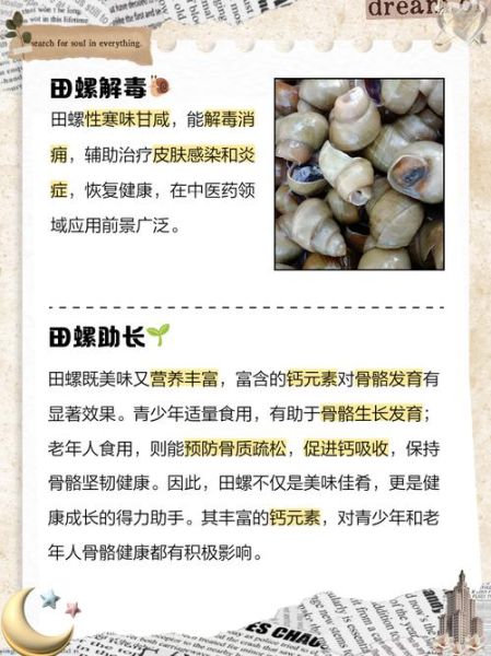 田螺的营养价值及功效与作用_田螺吃了有什么好处-第1张图片-山城妙识