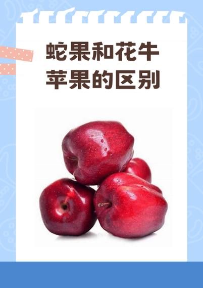 红蛇果不能和什么一起吃_哪些人不能吃红蛇果-第3张图片-山城妙识