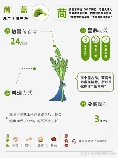 茼蒿菜和皇帝菜一样吗_区别与营养价值对比-第2张图片-山城妙识