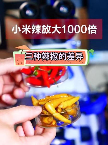 小米辣和小米椒的区别_哪个更辣-第2张图片-山城妙识