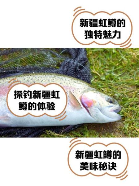 虹鳟鱼多少钱一斤_虹鳟鱼价格行情-第1张图片-山城妙识 虹鳟鱼多少钱一斤_虹鳟鱼价格行情-第1张图片-山城妙识