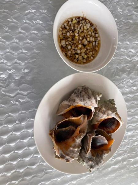 大海螺怎么做好吃_大海螺哪里产地最好-第2张图片-山城妙识