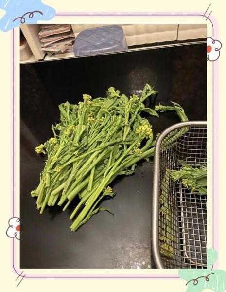 冲菜怎么做_冲菜的功效与作用-第3张图片-山城妙识