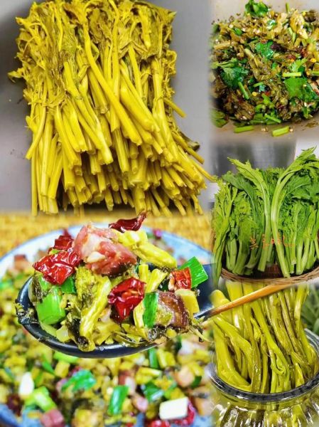 冲菜怎么做_冲菜的功效与作用-第2张图片-山城妙识