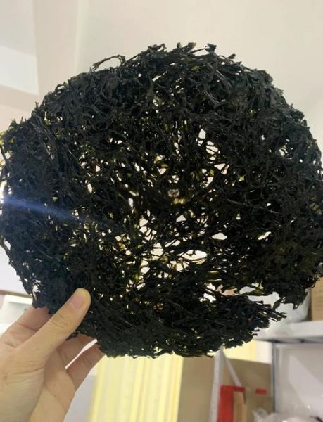 紫菜头有什么功效_紫菜头能降血压吗-第1张图片-山城妙识