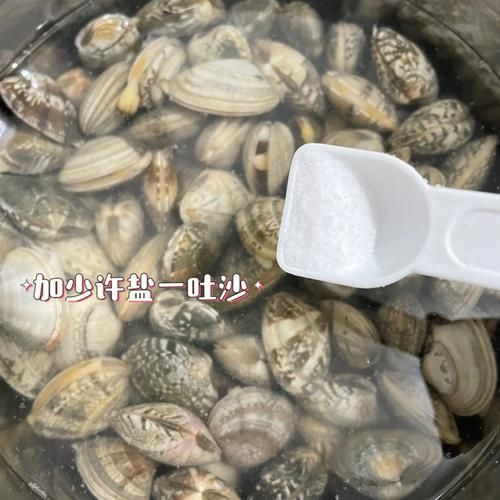 花甲怎么吐沙干净_花甲吐沙最快的方法-第3张图片-山城妙识