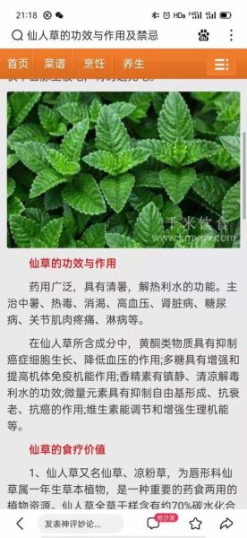 仙人草的功效与作用_仙人草怎么吃效果最好-第3张图片-山城妙识