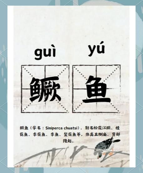 鳜鱼肥读音怎么读_鳜鱼肥拼音是什么-第1张图片-山城妙识 鳜鱼肥读音怎么读_鳜鱼肥拼音是什么-第1张图片-山城妙识