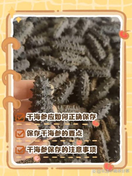干海参怎么保存_干海参可以放多久-第1张图片-山城妙识