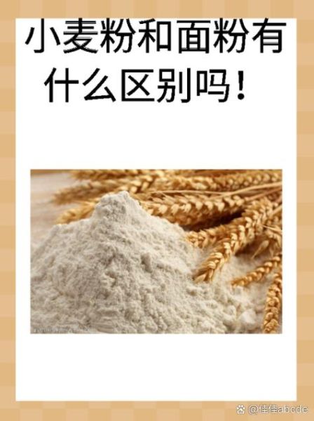 小麦生粉是什么粉_小麦生粉与面粉区别-第1张图片-山城妙识