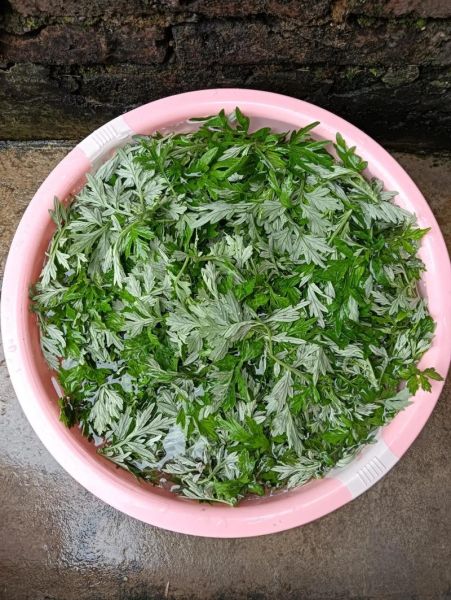 艾草团什么时候吃_艾草团是几月吃的-第3张图片-山城妙识