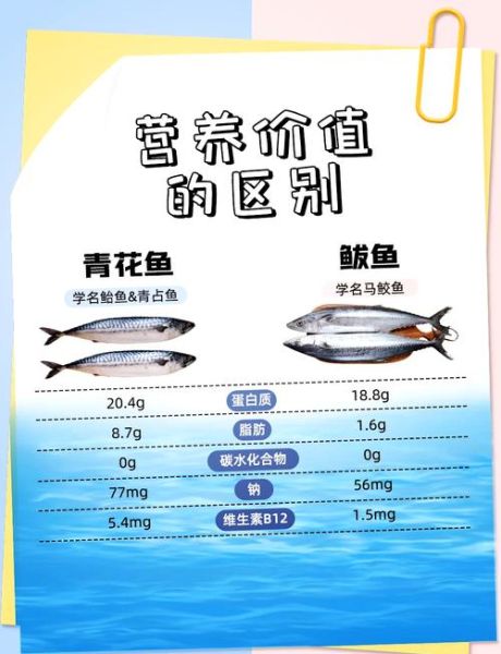 青鱼图片_鲭鱼区别是什么-第1张图片-山城妙识