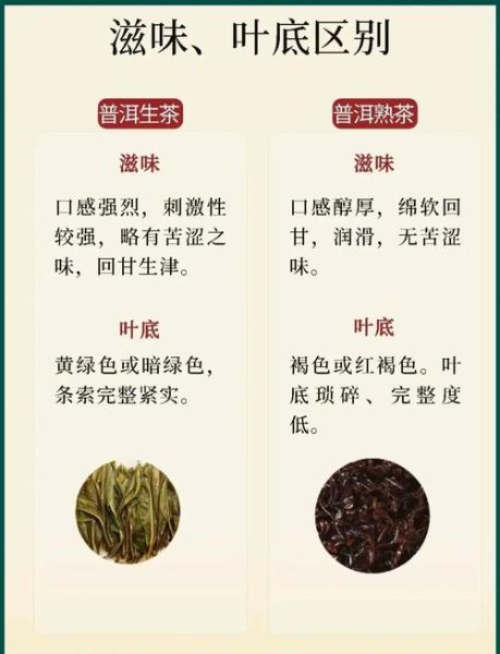 普洱生茶好还是熟茶好_普洱生茶和熟茶的区别-第1张图片-山城妙识