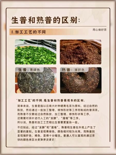 普洱生茶好还是熟茶好_普洱生茶和熟茶的区别-第3张图片-山城妙识