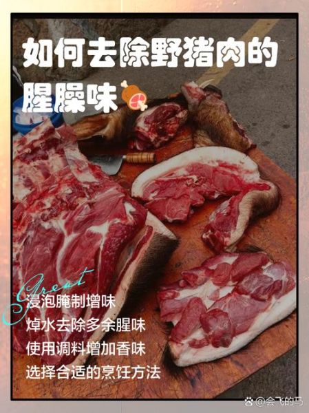 野猪肉怎么吃_野猪肉去腥做法-第1张图片-山城妙识